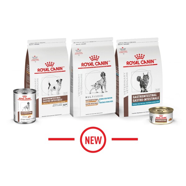 Royal Canin Unveils Expansion to Gastrointestinal Portfolio, Announces ...