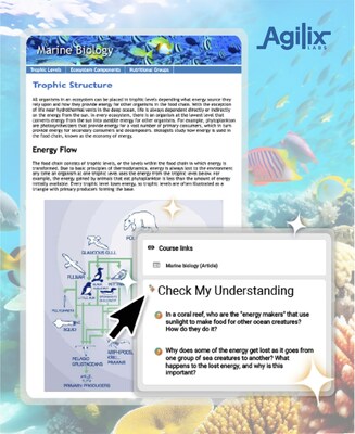 Agilix Labs Unveils BusyBee: An AI-Personalized Learning & Teaching ...