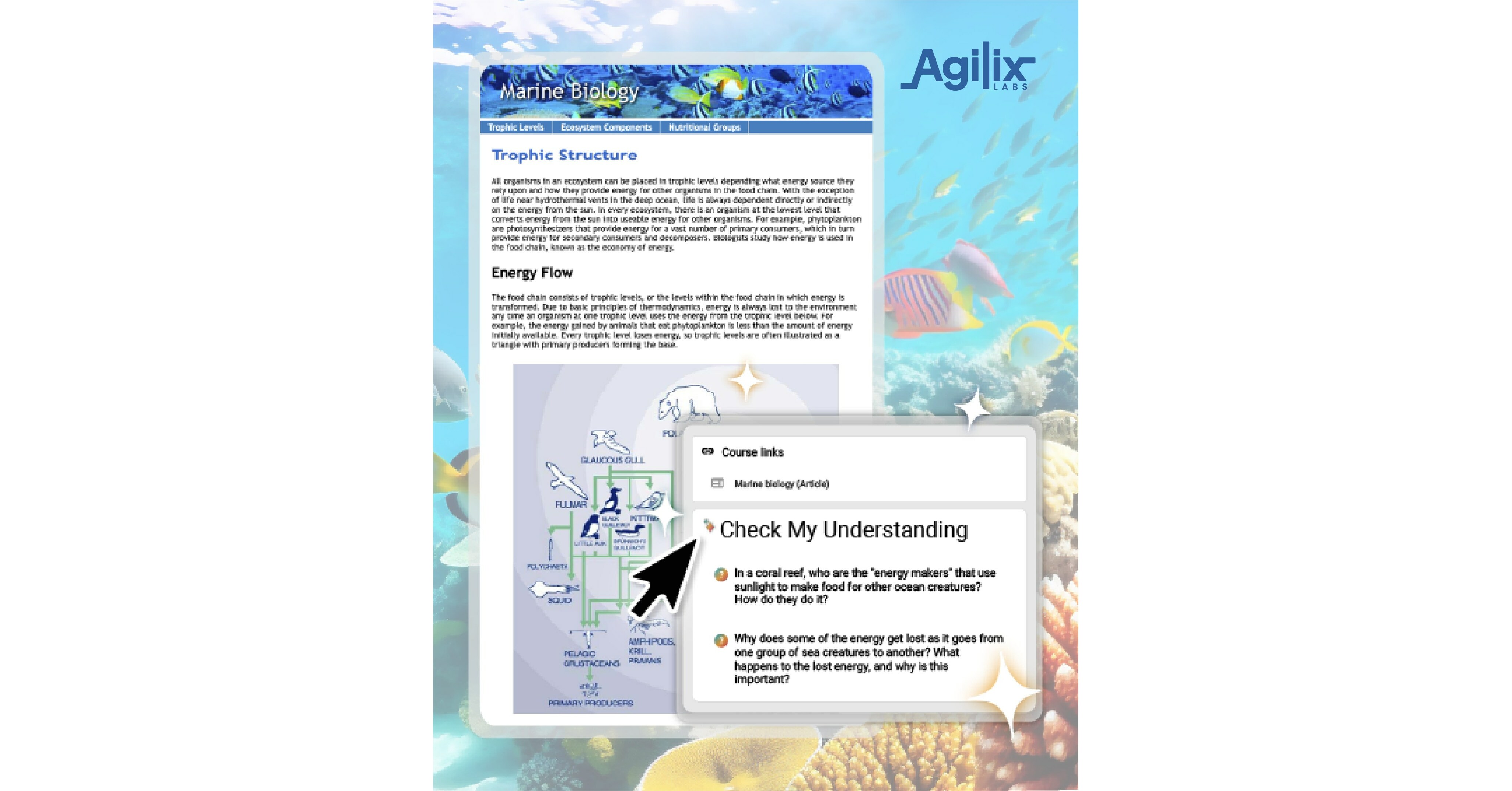 Agilix Labs Unveils BusyBee: An AI-Personalized Learning & Teaching ...