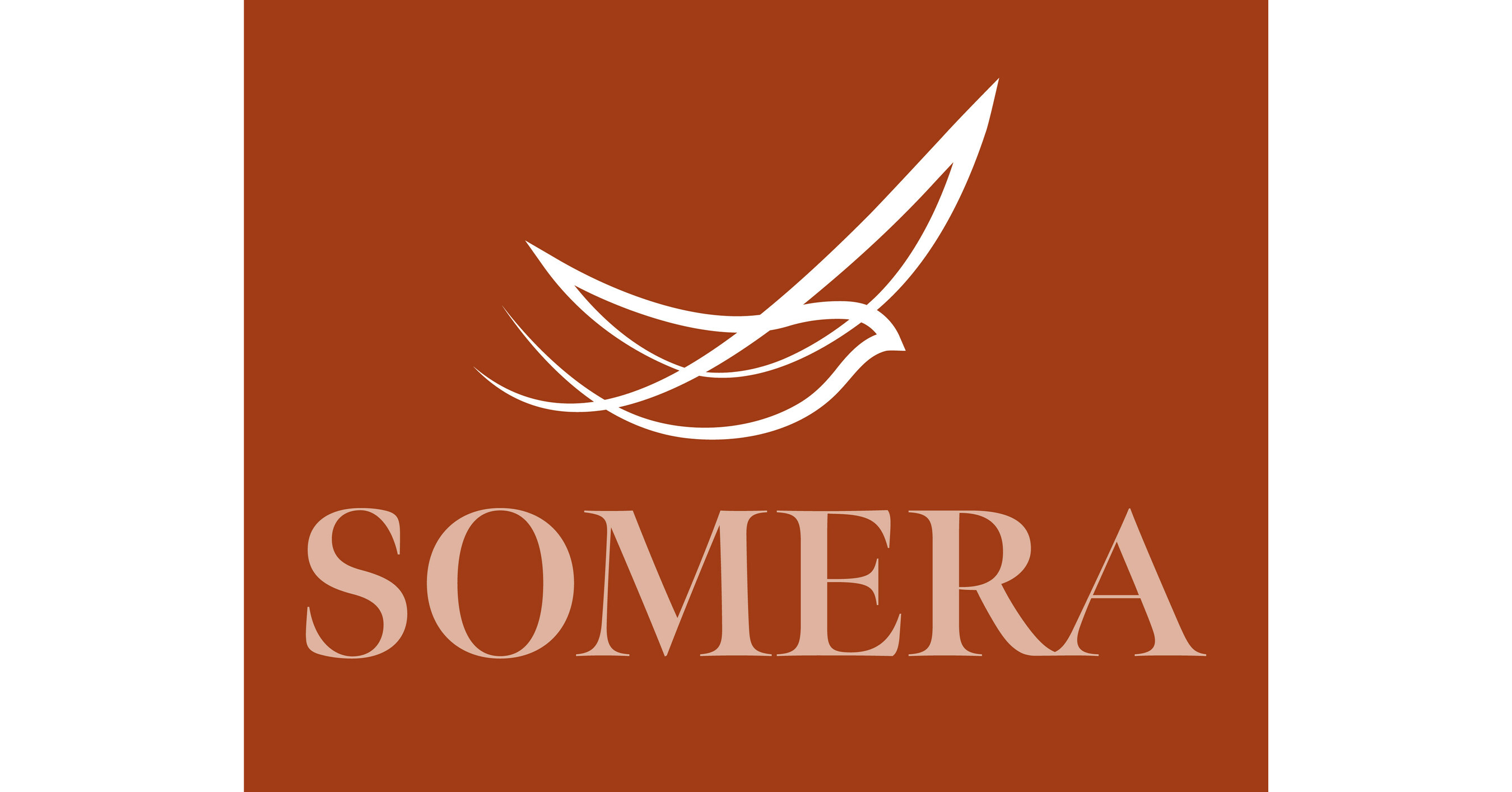 Somera Private Equity Acquires Ty-Gard and Shock-Gard to Form Gardian ...