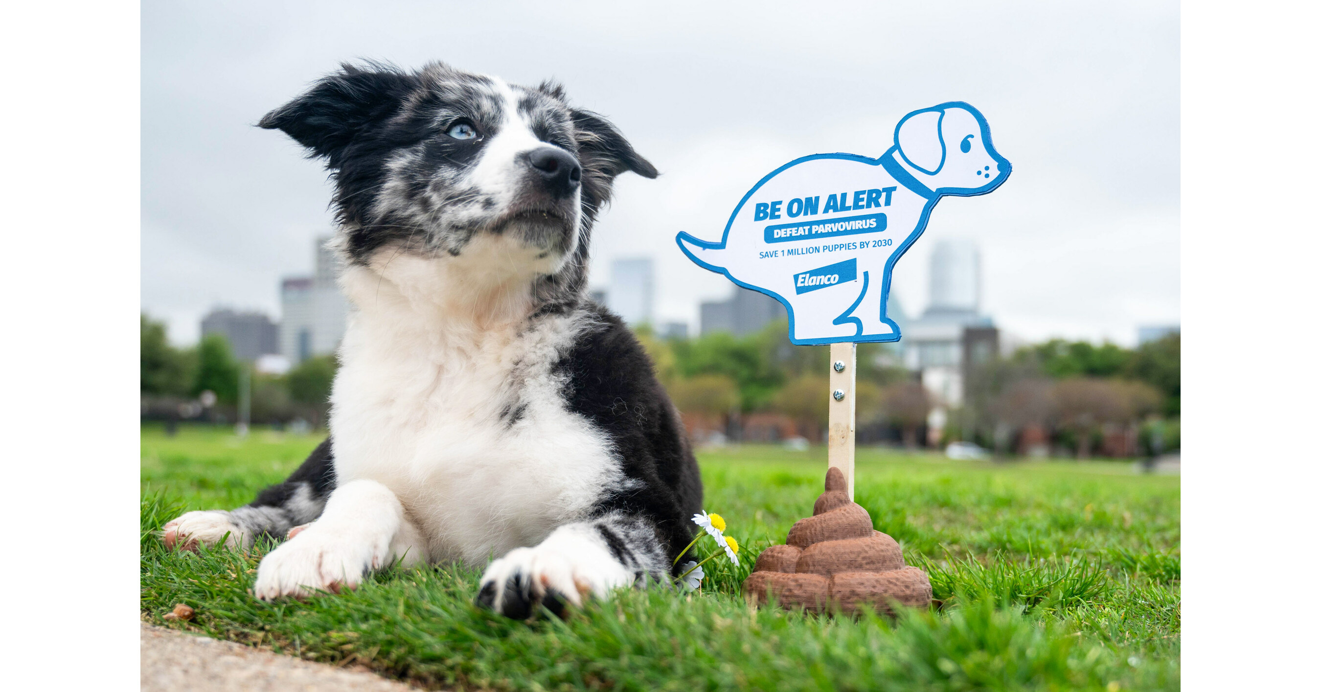 Elanco's 'Parvo is Poop' Campaign Unleashes Awareness and Action on ...