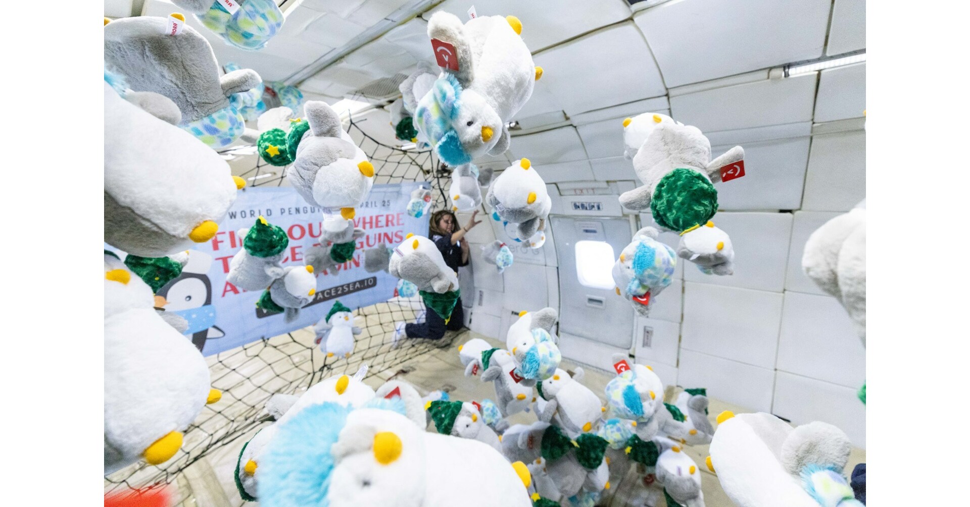 Zero Gravity Corporation Celebrates World Penguin Day on April 25th by ...