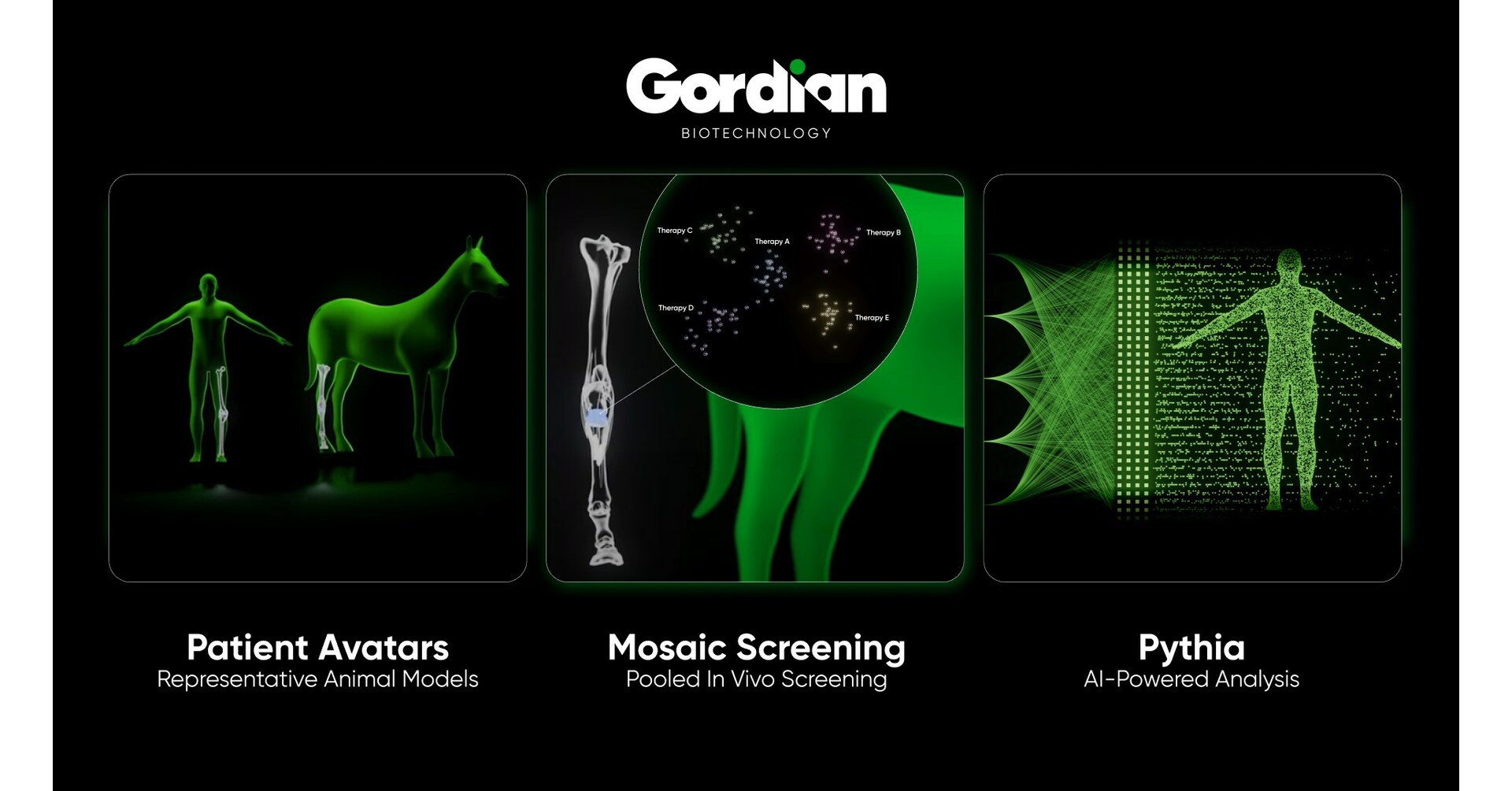 Gordian Biotechnology Introduces High-Throughput In Vivo Screening ...