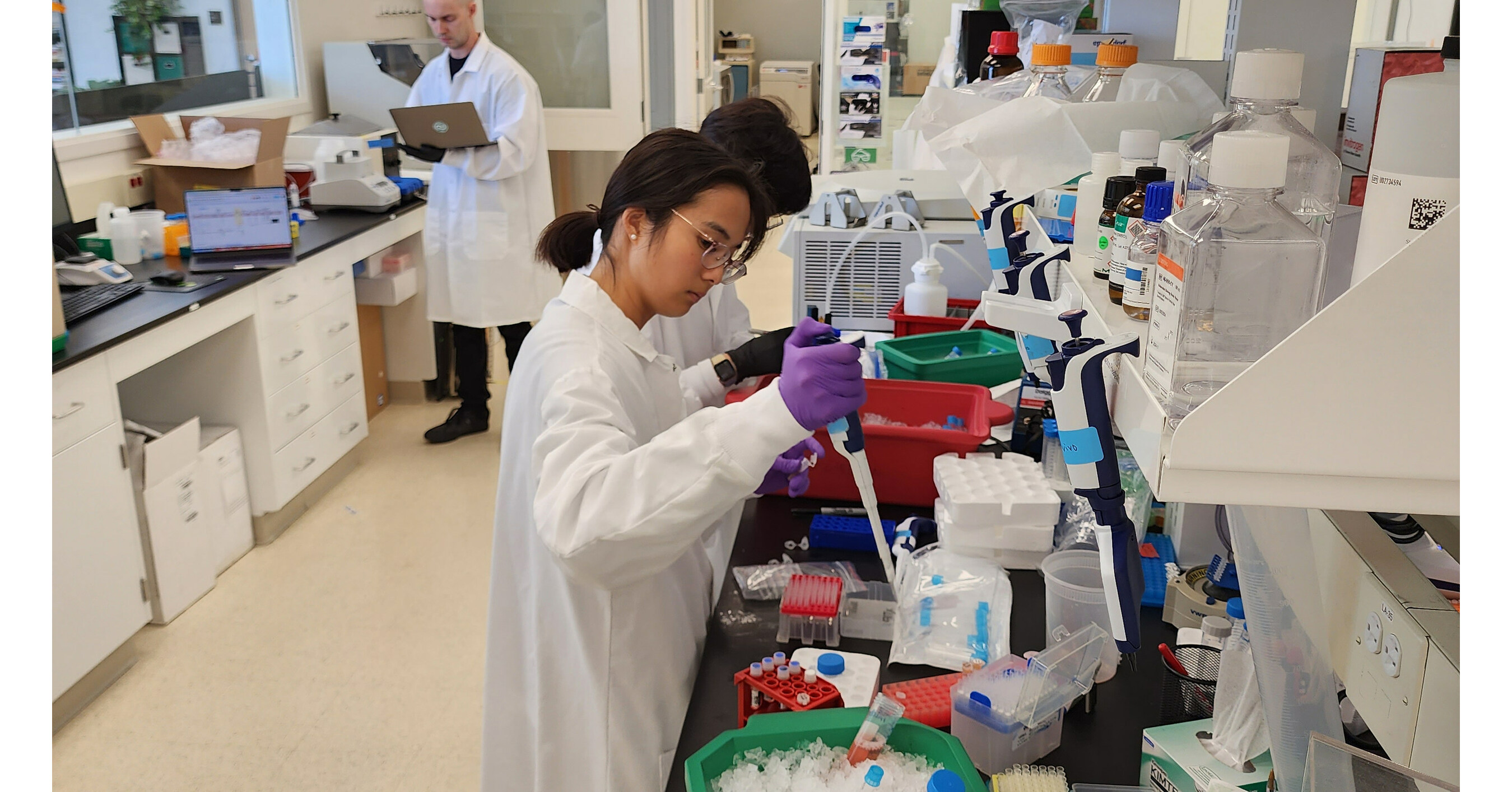 Gordian Biotechnology Introduces High-Throughput In Vivo Screening ...