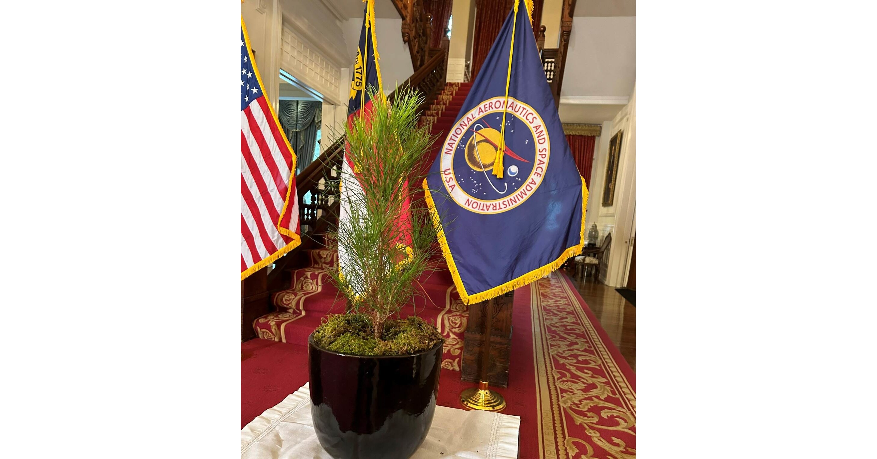 NASA Finds New Homes for Artemis Generation of 'Moon Trees' Across US