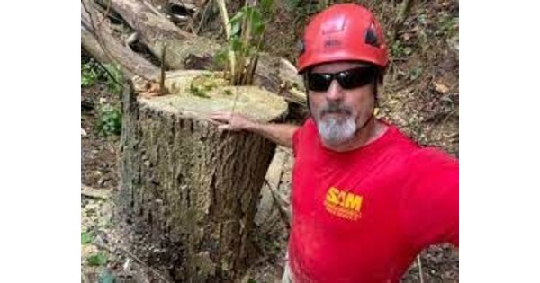 Superior Arbor Management, Inc (SAM) tree services Announces Arborist ...