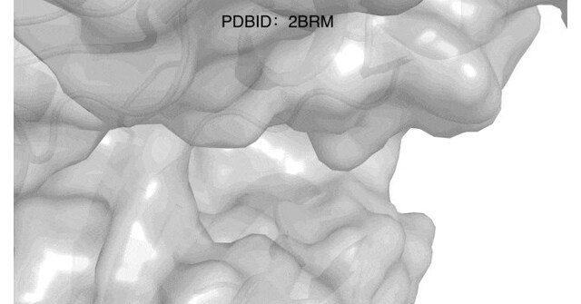 DP Technology DevDay 2024 Showcases Large Science Models and Announces Open Science Initiative