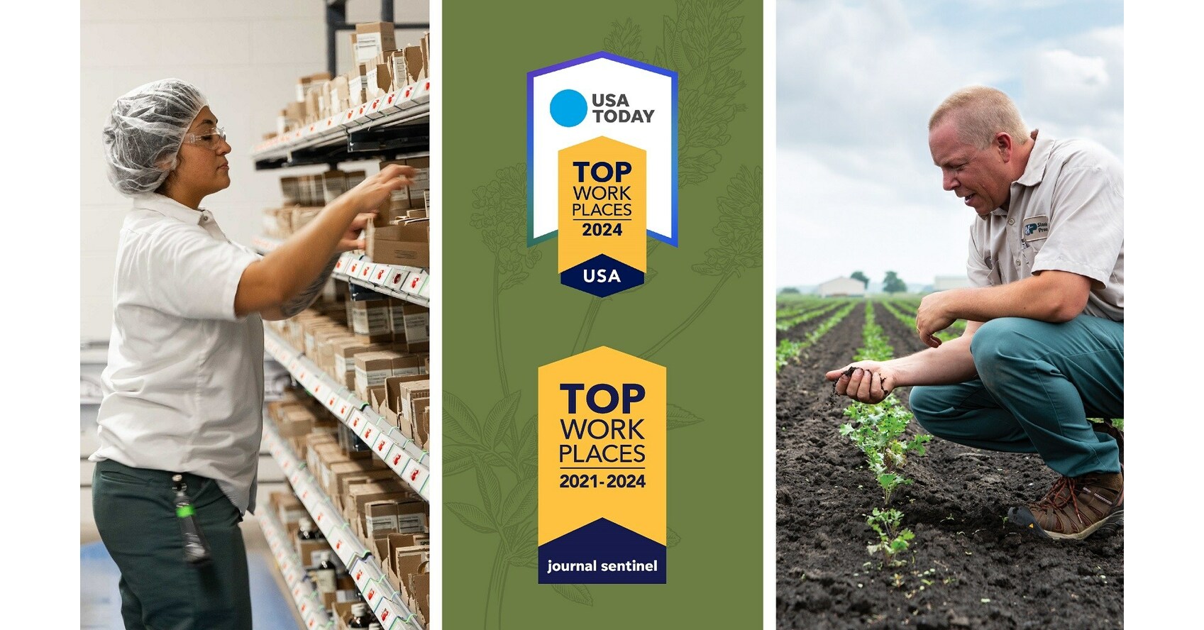 Standard Process Wins 2024 Top Workplaces USA Award & Fourth ...