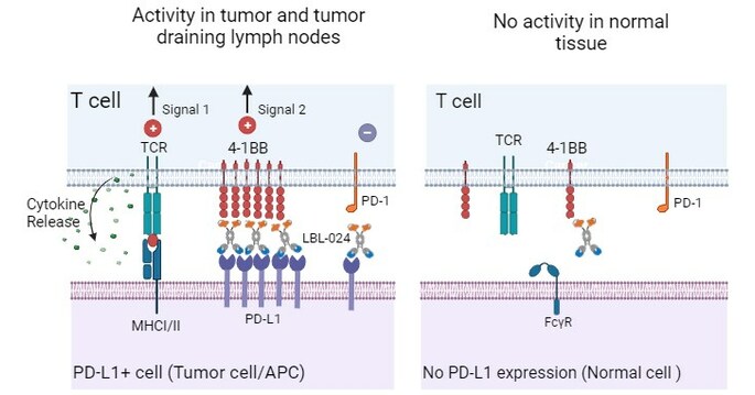 A Potential First-In-Class Drug: CDE Approved Single-Arm Pivotal ...