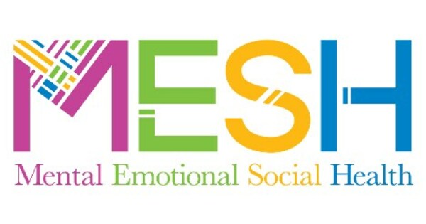 MESH Helps Partners with FUNdamentally Children for Toy and Game ...