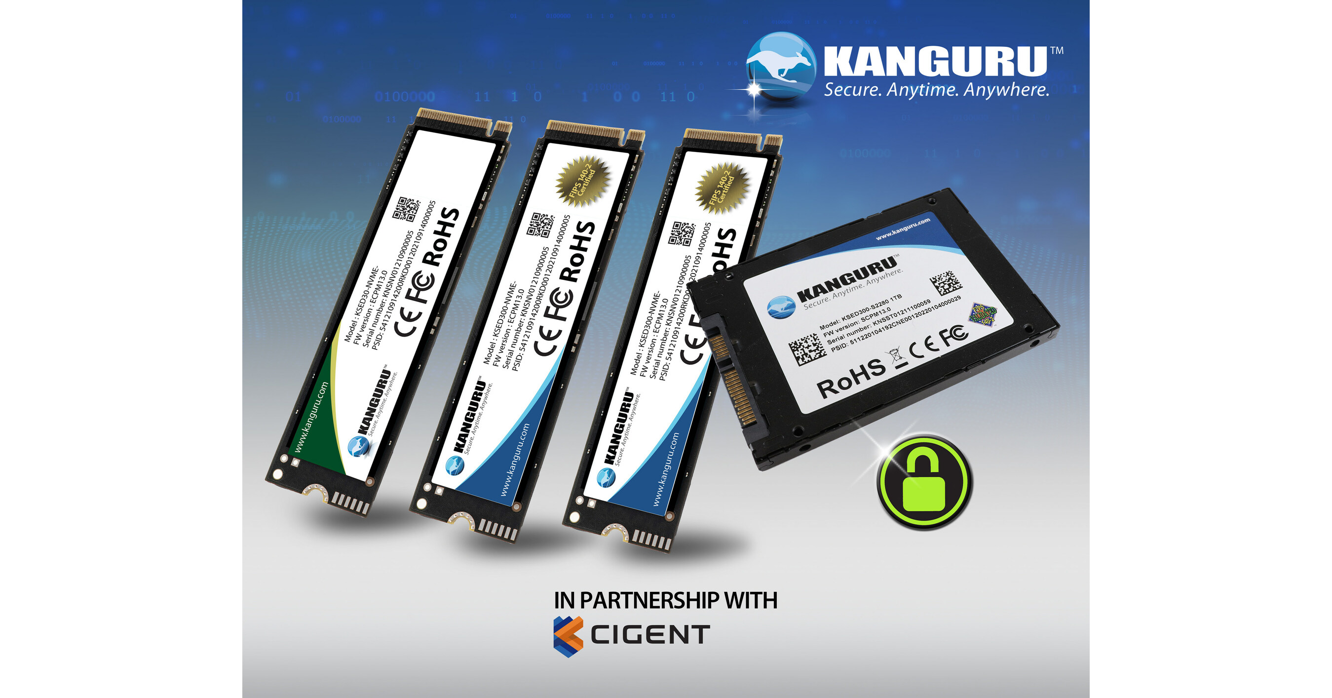 New Kanguru Defender Internal Self-Encrypting Hardware-Based SSDs ...