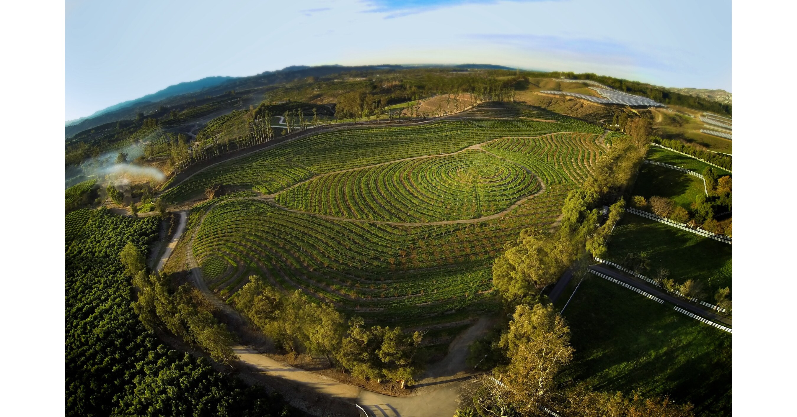 Celebrate Summer at The Biggest Little Farm- Apricot Lane Farms ...