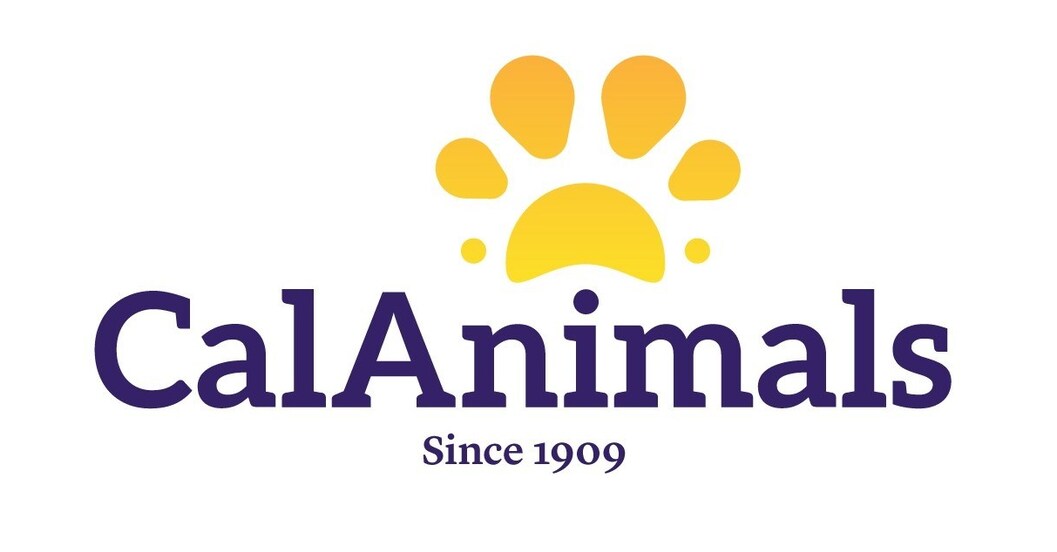 CalAnimals, SF SPCA, and the ASPCA to Host First-Ever California Adopt ...