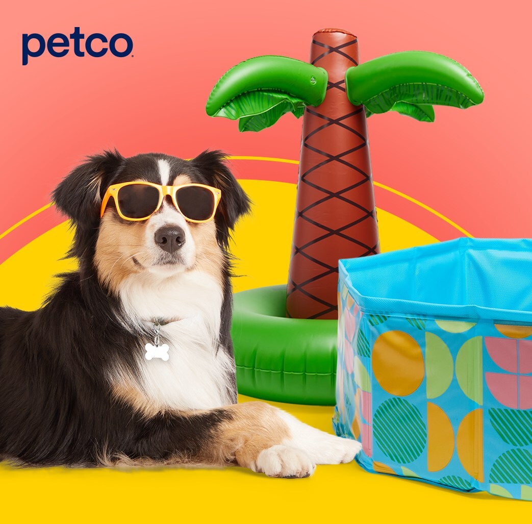 Petco Dogs Norwalk Woman Heartbroken After Her Beloved 6 Year Old Dog