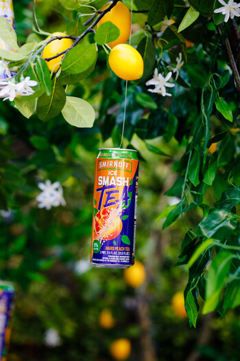 SMIRNOFF ICE AND POP CULTURE ICON KATHY HILTON TOAST TO NEW SMIRNOFF ...