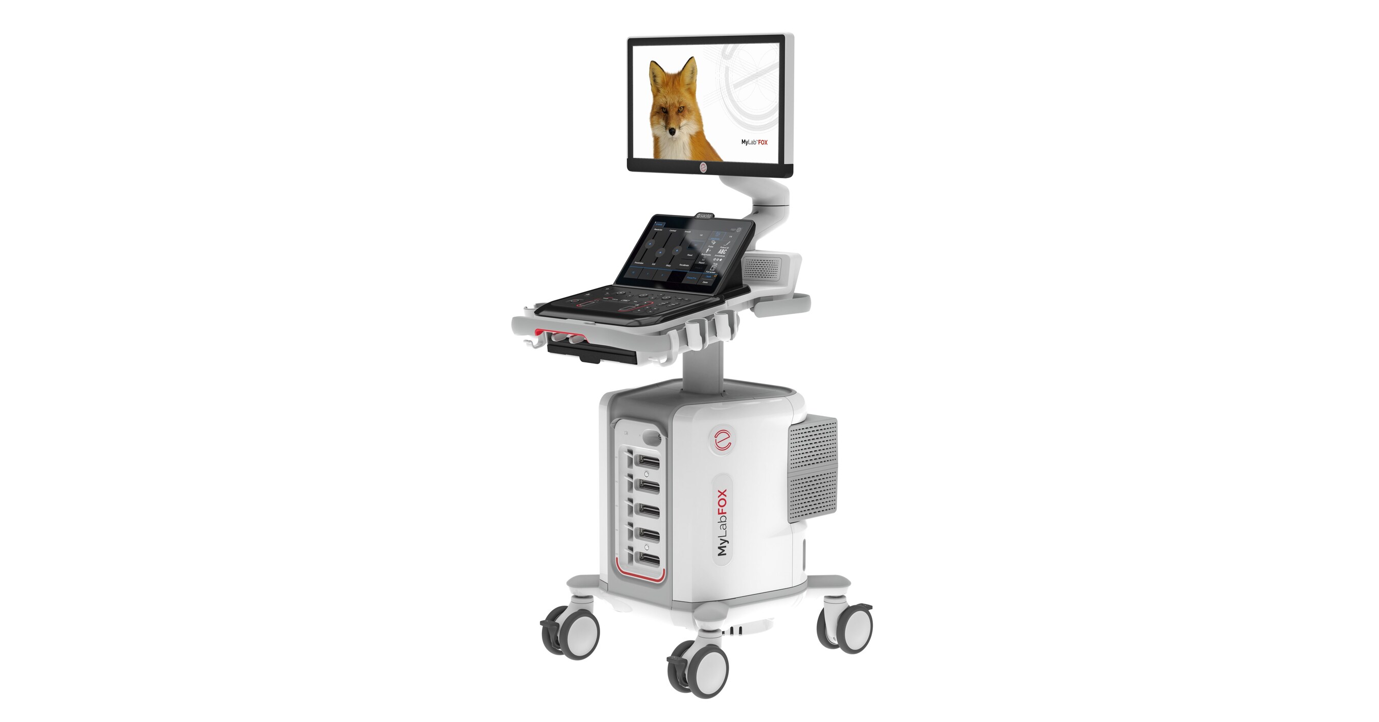 Esaote introduces the versatile MyLab™ FOX veterinary ultrasound system