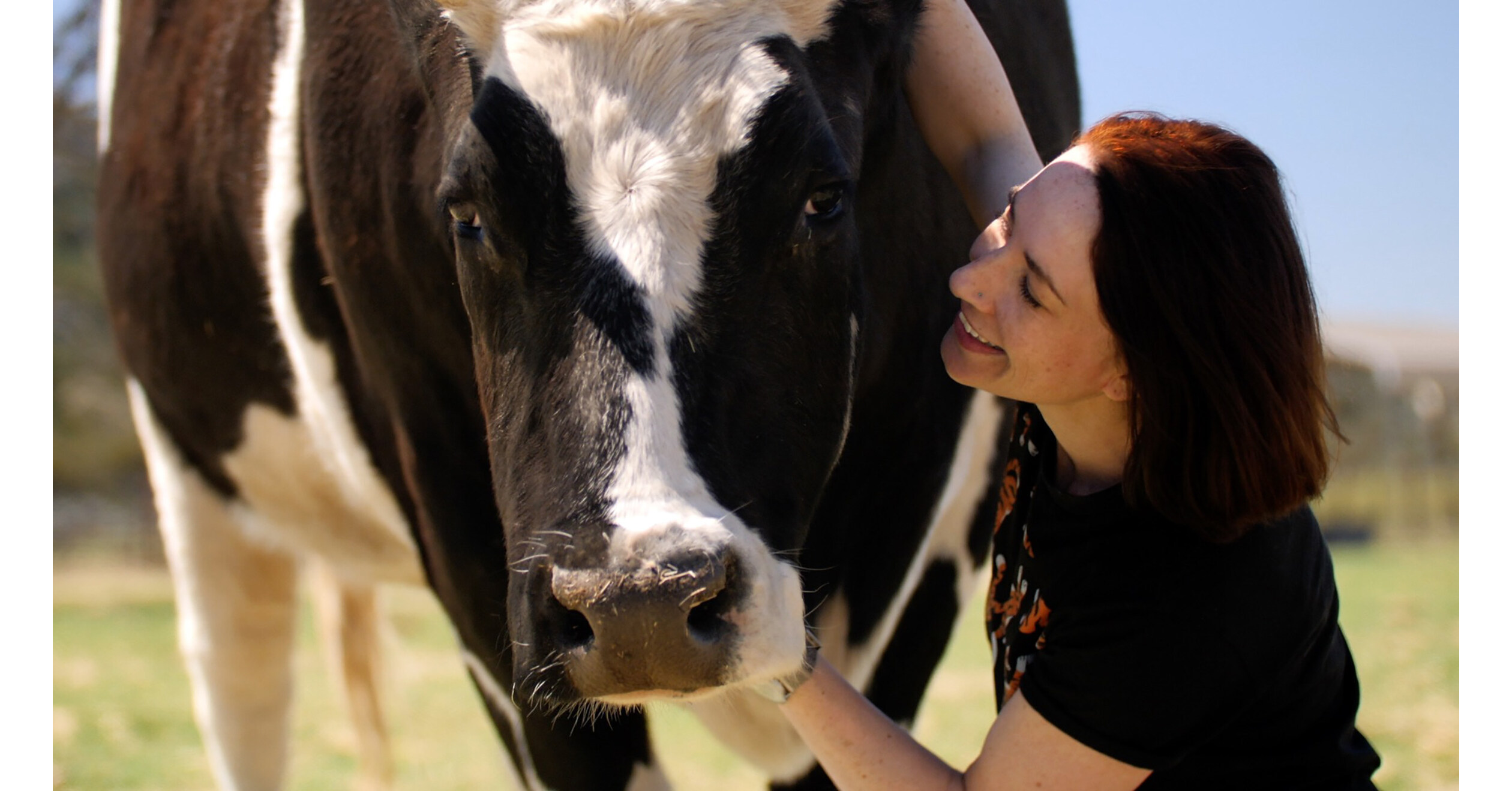 The Humane League Publicly Launches the Animal Policy Alliance to Enact ...
