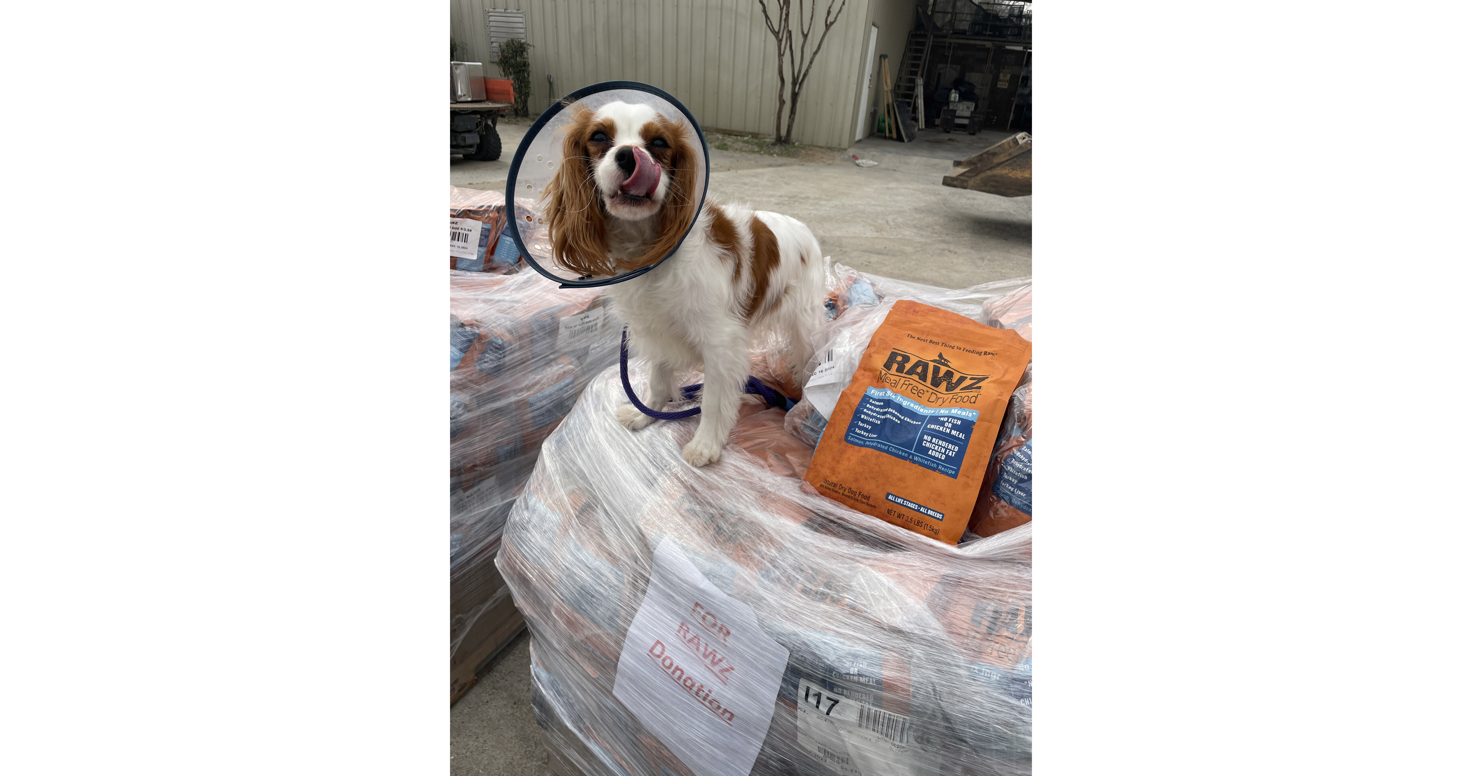 RAWZ Kicks Off the Year by Giving Back