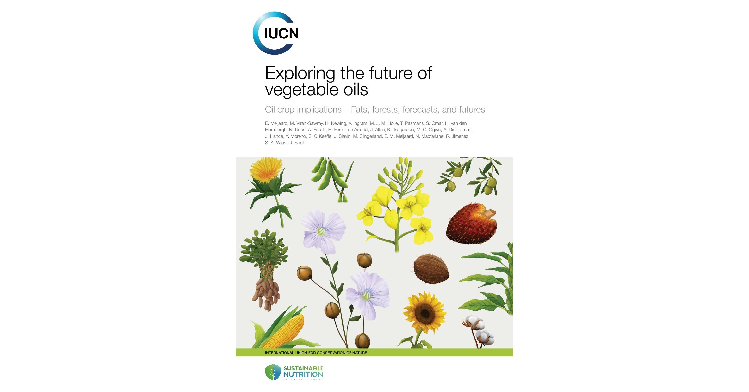 There are no good or bad oil crops, only good and bad practices