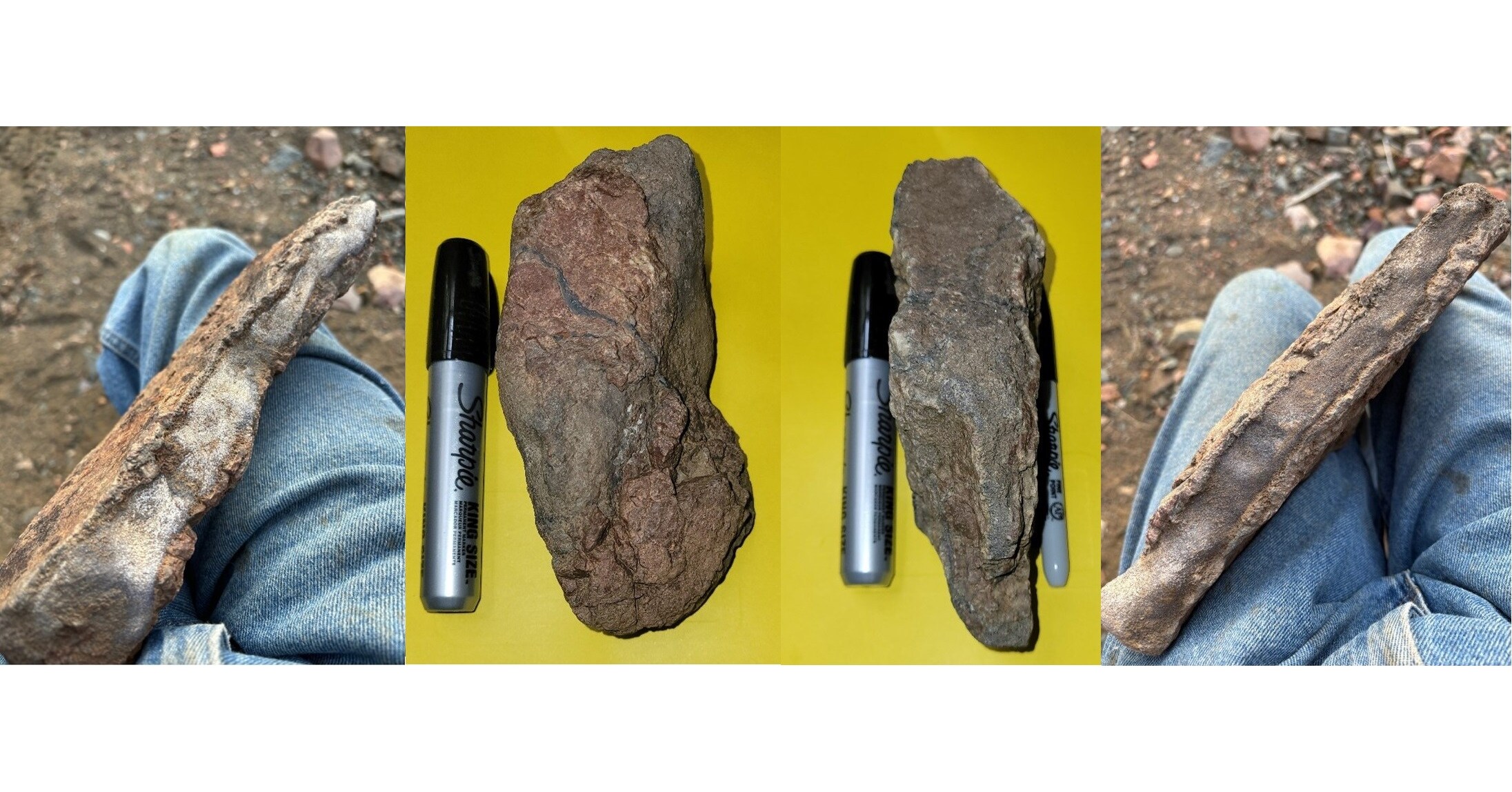 SILVER ONE DISCOVERS NEW SILVER VEIN FRAGMENTS AND OUTLINES NEW COPPER ...