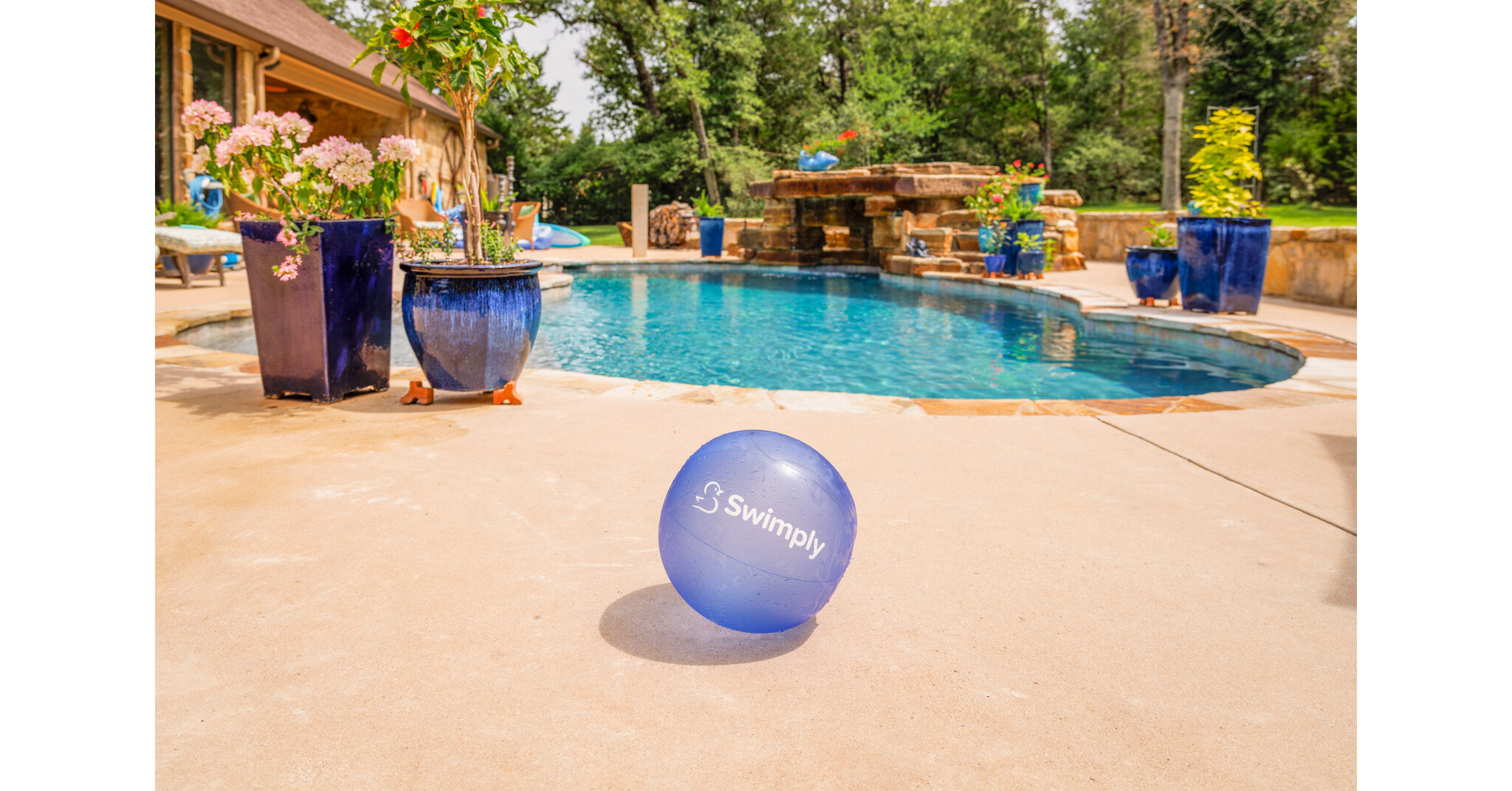 Get Paid $100,000 to Swim in Pools in All 50 States as Swimply's Chief ...