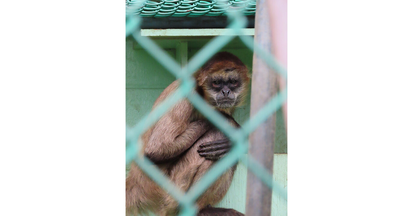 MAPPING CANADA'S CAPTIVE WILDLIFE PROBLEM: WORLD ANIMAL PROTECTION ...