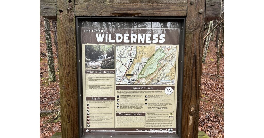 Explore TRV's Wilderness Wellness Connections: Nature's Serenity as a ...