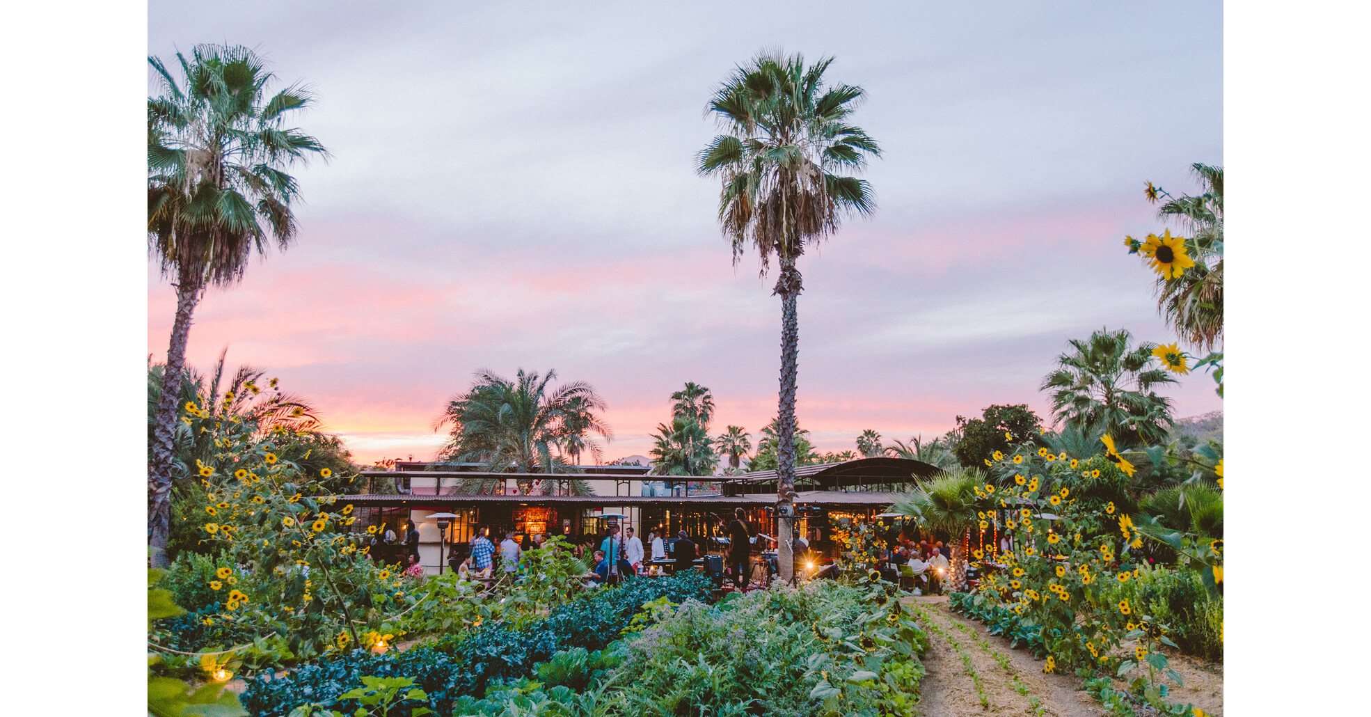 Los Cabos' Restaurants Top the MICHELIN Guide Mexico Selection 2024