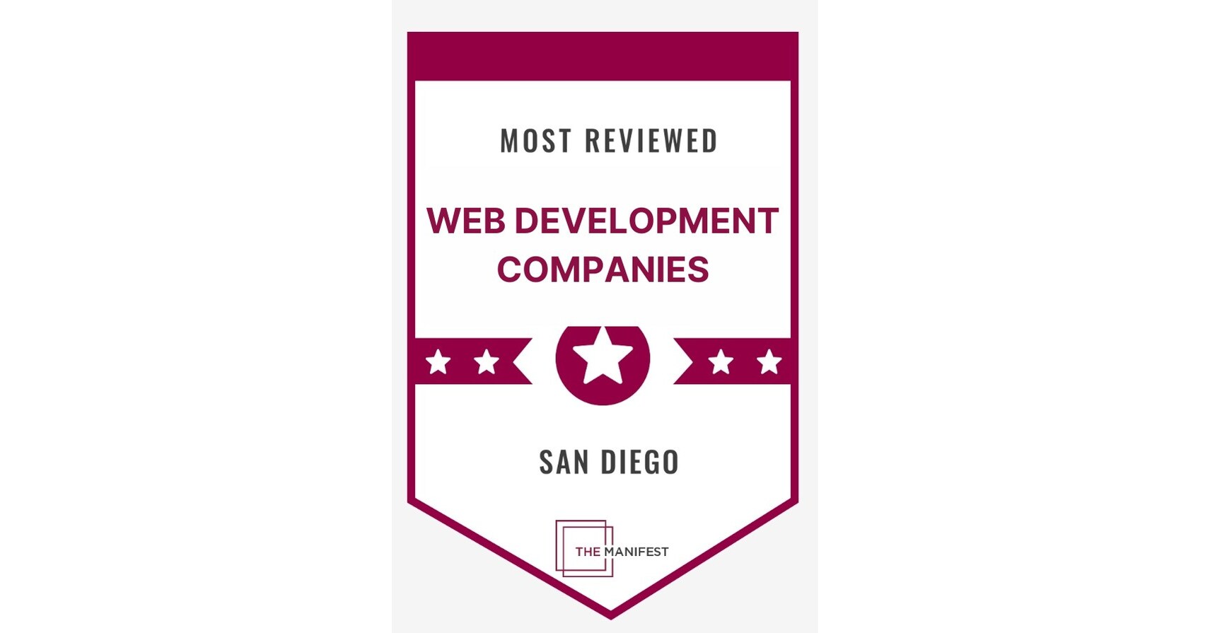 Tiny Frog Technologies Named a Top B2B Website Development Partner