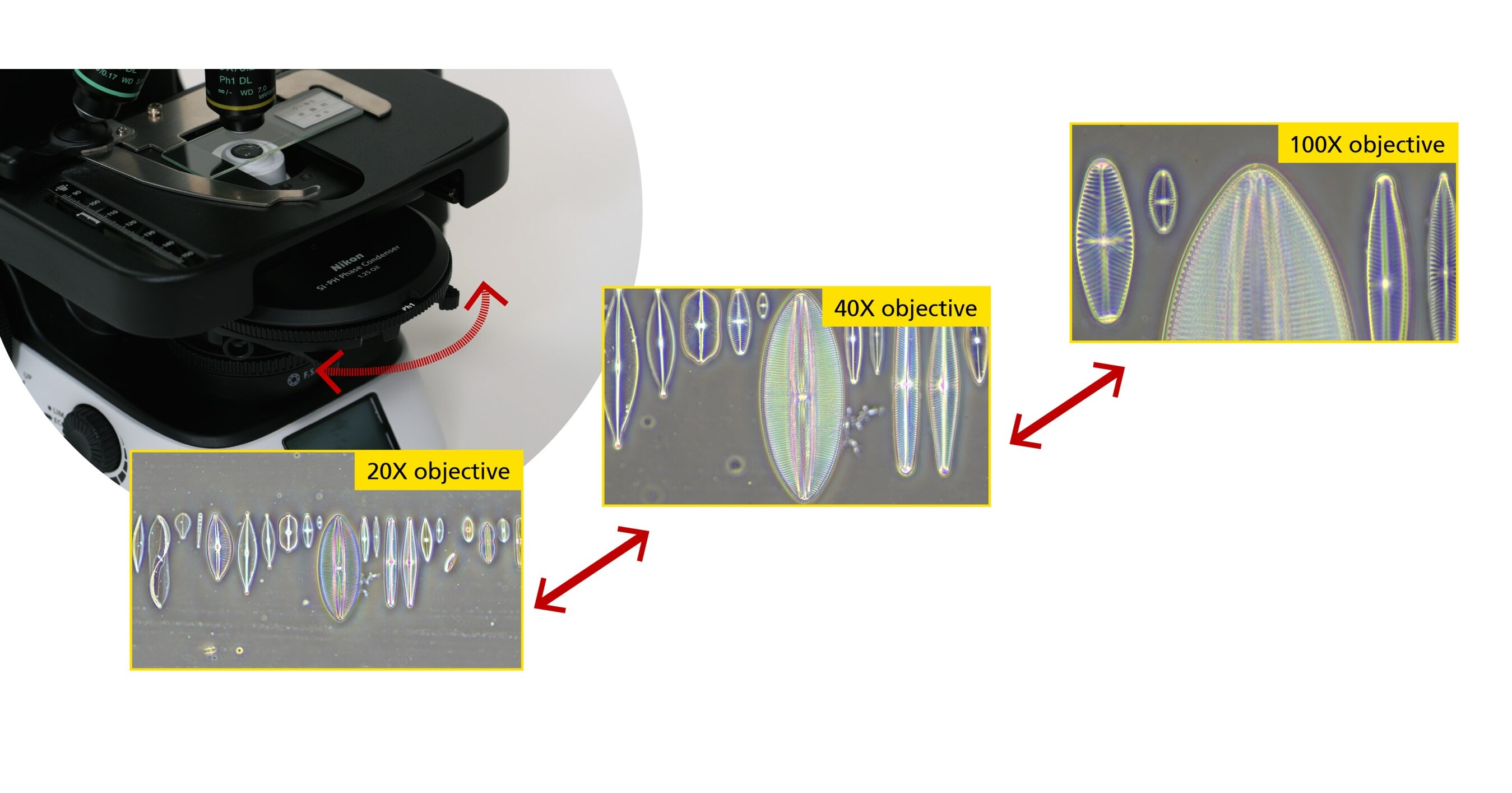 Nikon introduces the SI-PH Phase Condenser accessory option for the ...