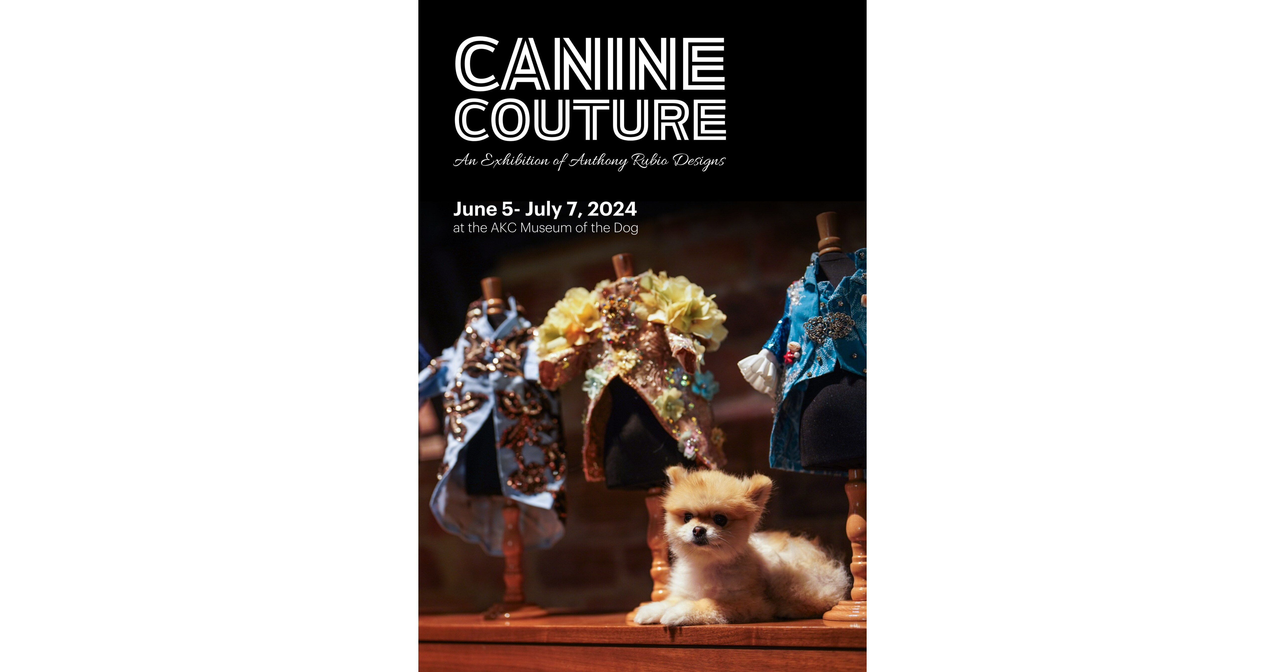 "CANINE COUTURE: AN EXHIBITION OF ANTHONY RUBIO DESIGNS" TO OPEN AT THE ...