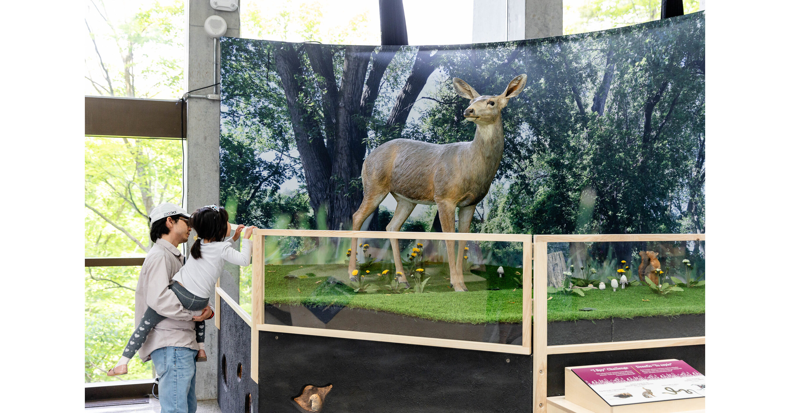 Discover Hidden Worlds and Thriving Ecosystems in Nature All Around Us ...