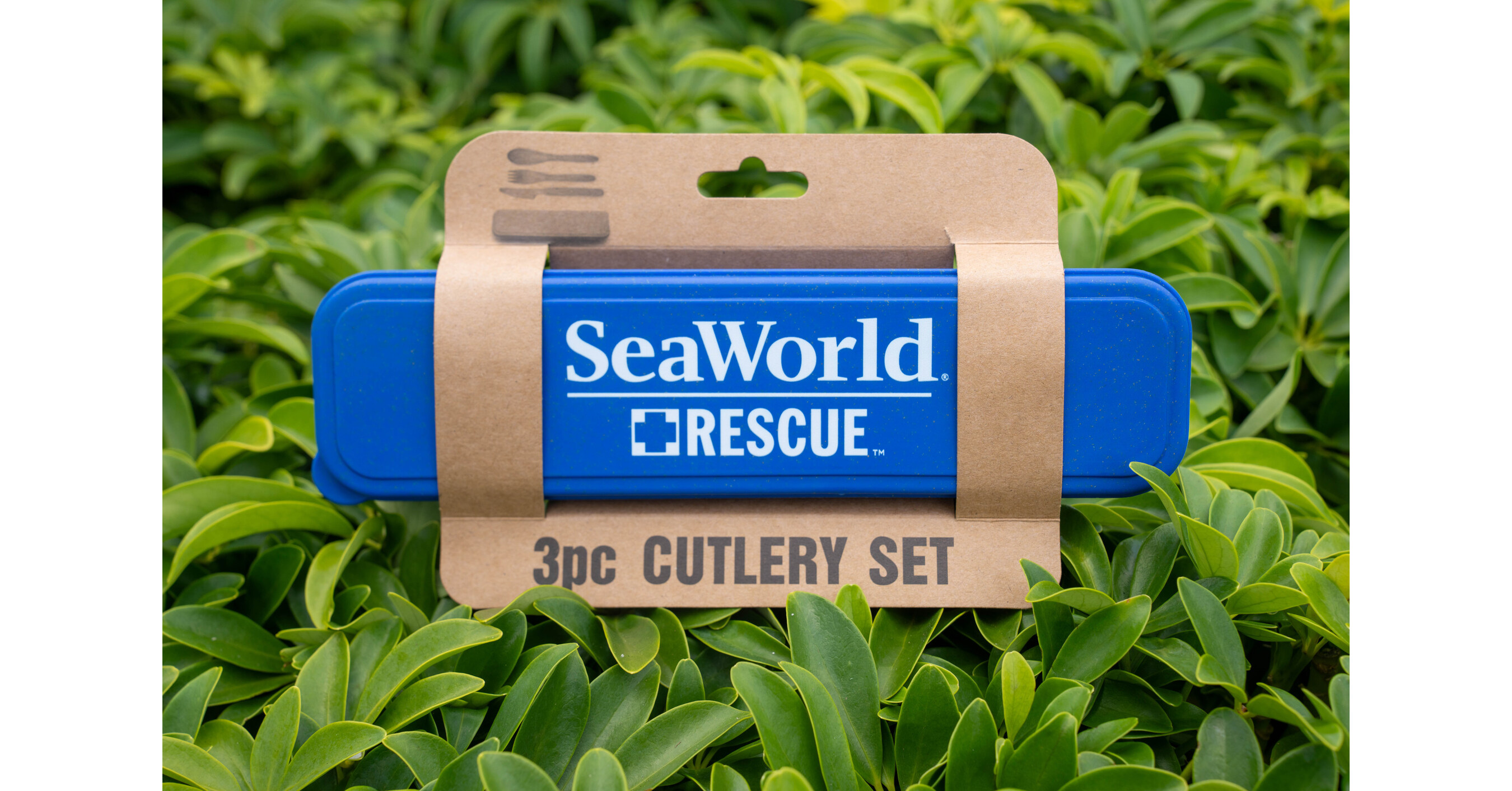 SeaWorld Celebrates World Oceans Day with a Free Gift for Park Guests ...