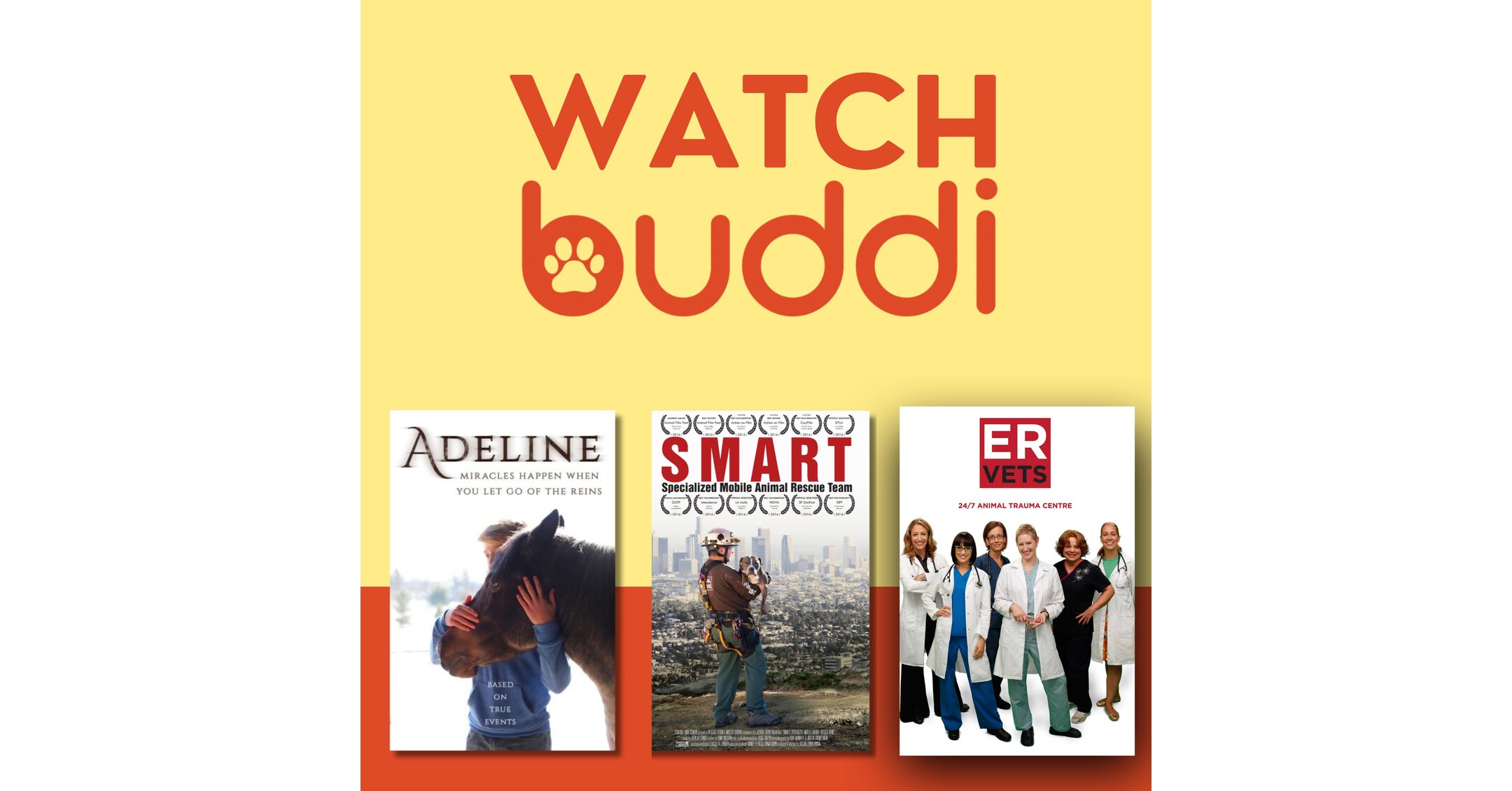New Family-Friendly, Pet-Centric Streaming Service Called buddi ...