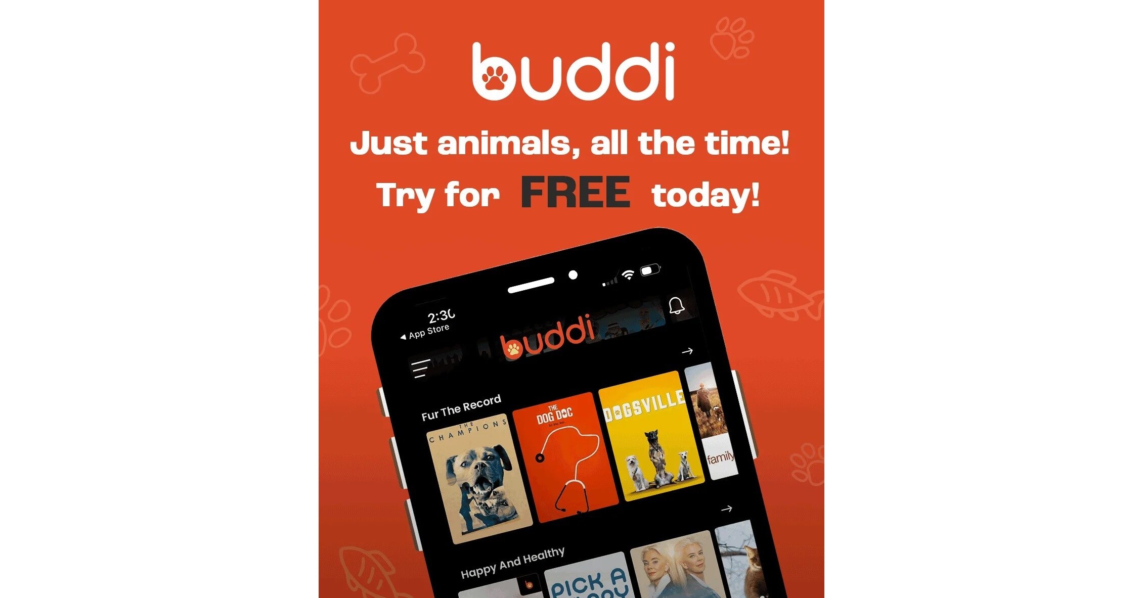 New Family-Friendly, Pet-Centric Streaming Service Called buddi ...