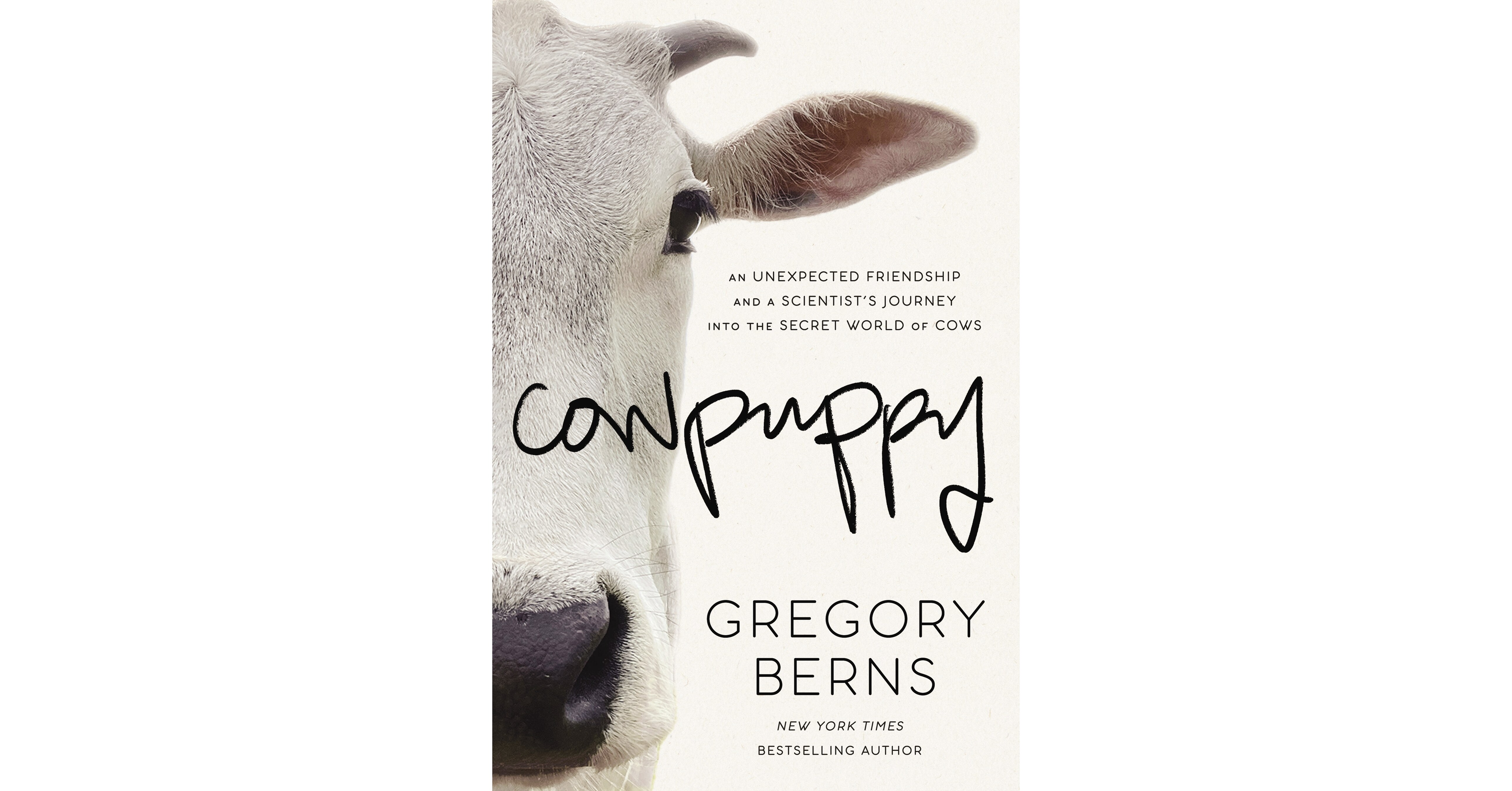BESTSELLING AUTHOR AND NEUROSCIENTIST GREGORY BERNS TO RELEASE NEW BOOK ...