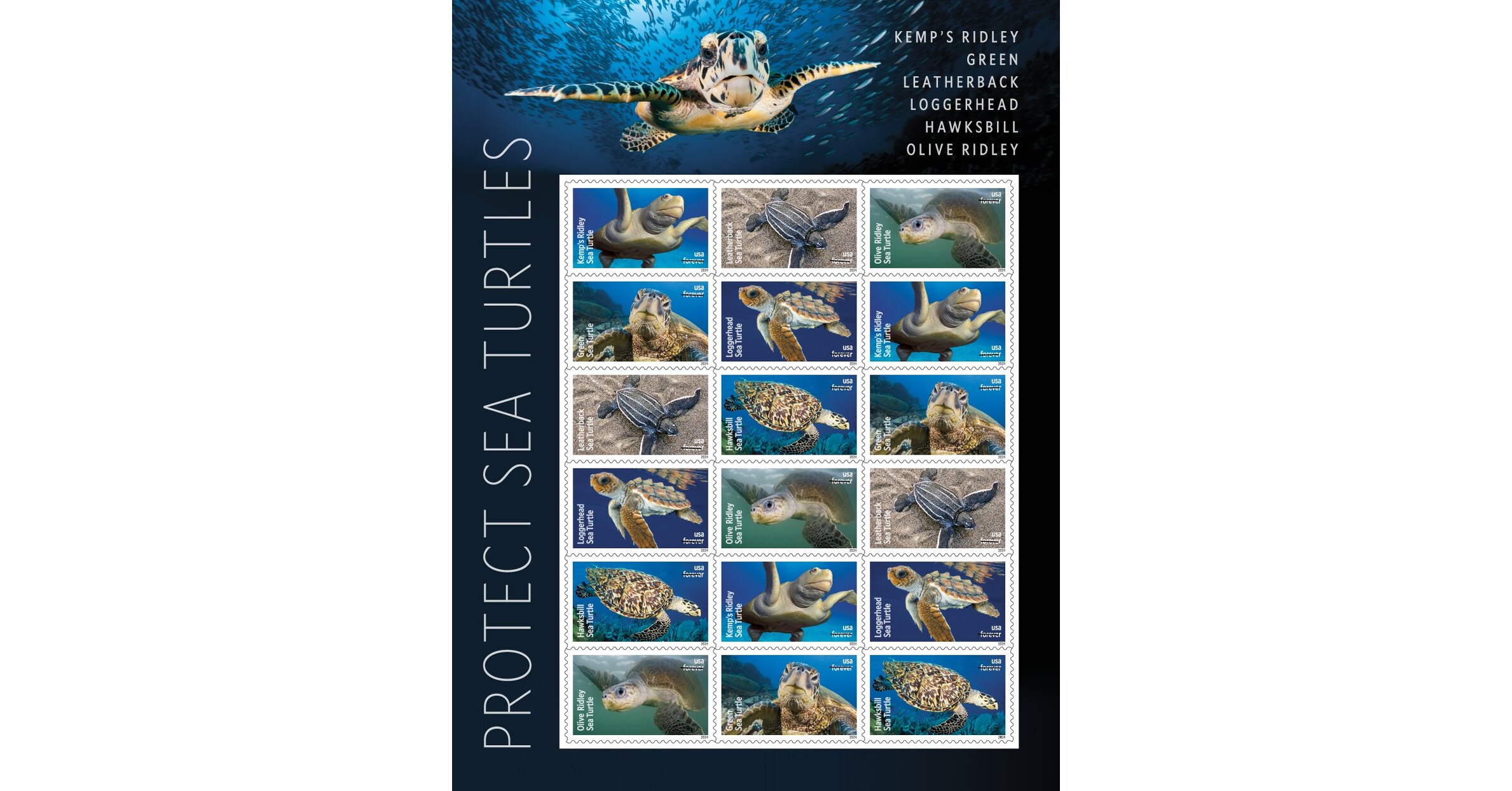 Sea Turtles Ride A Wave Onto New Stamps