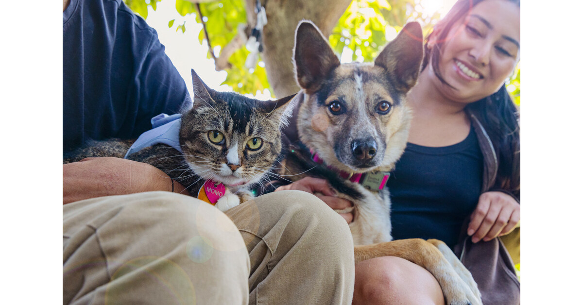 Best Friends Animal Society Launches National Action Week for Animals ...