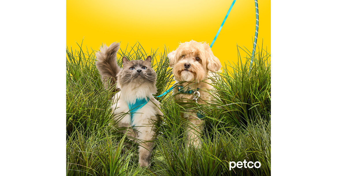 PSA: Petco Chief Veterinarian Offers Summer Safety Tips - Jun 17, 2024