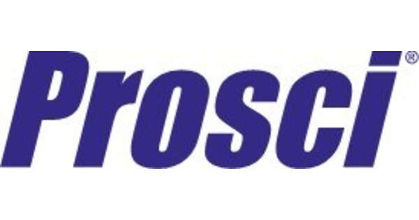 Prosci launches new change management generative AI tool