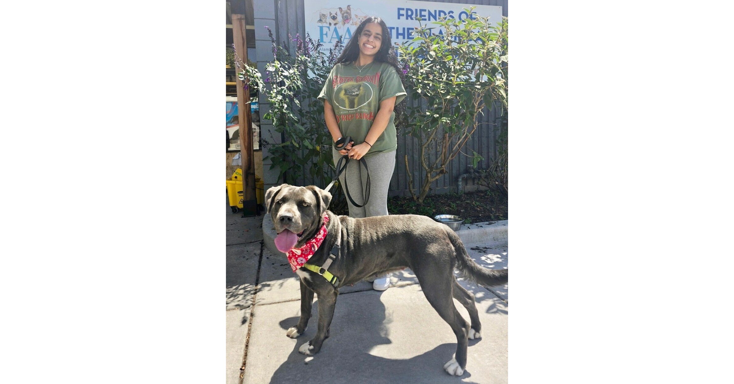 First-Ever California Adopt-a-Pet Day Finds Homes for 3,609 Pets ...