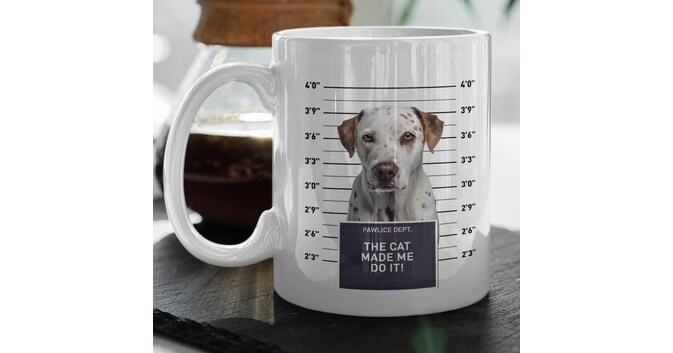 From Outlaws to In-Laws: How MyMugshot's Custom Printed Mugs Add a ...