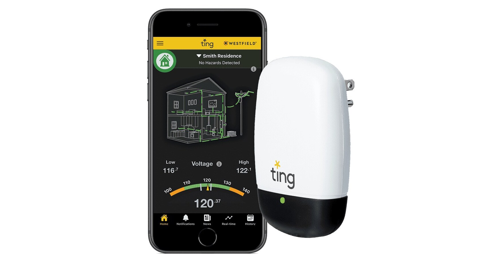 Westfield Insurance Launches Ting Program to Help Prevent Home ...