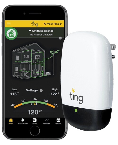 Westfield Insurance Launches Ting Program to Help Prevent Home ...