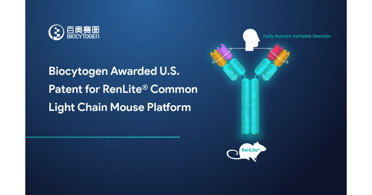 Biocytogen Awarded U.S. Patent for RenLite® Common Light Chain Mouse ...
