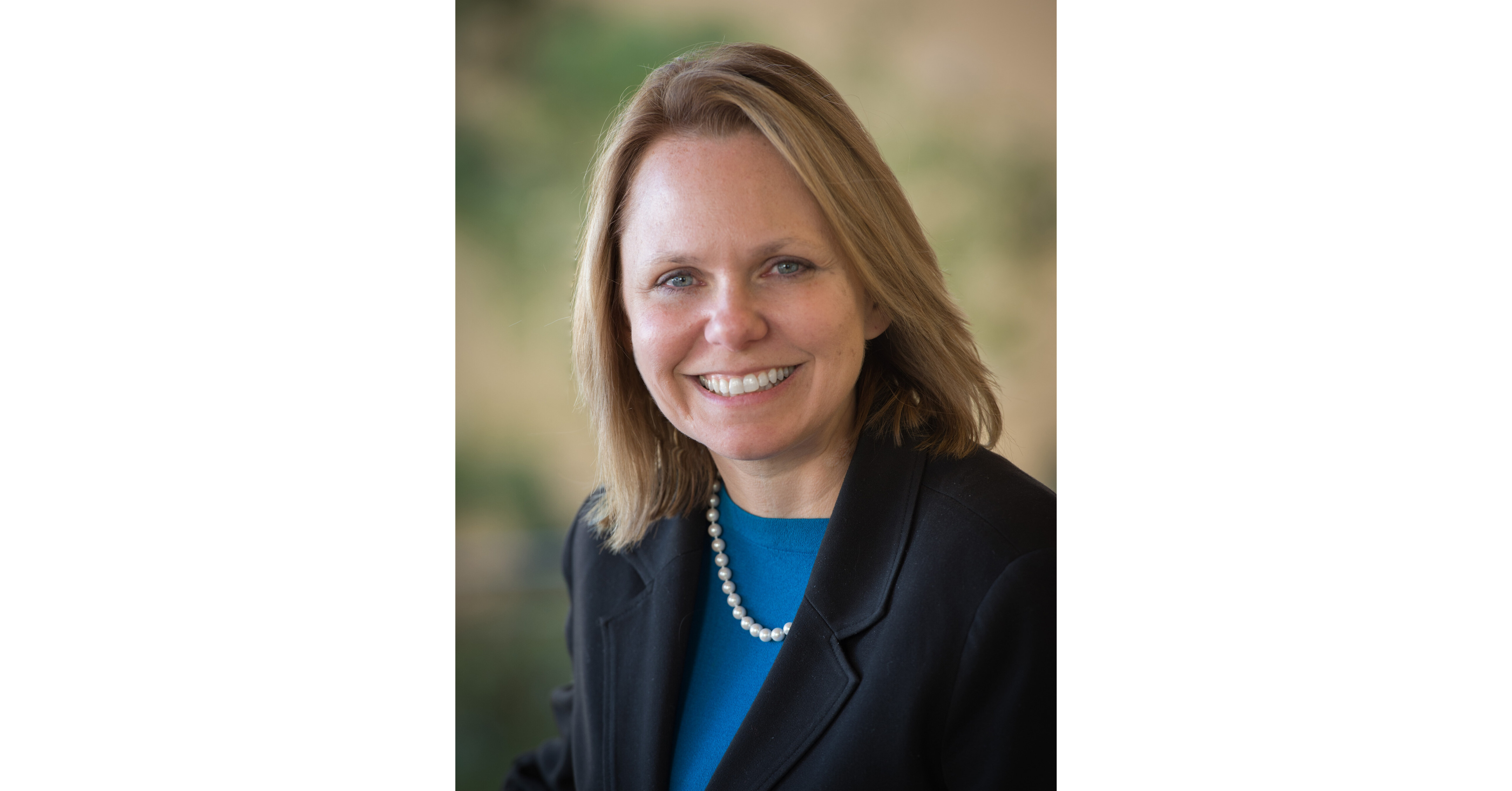 NATSO, WERNER® COLLABORATE ON CEO RIDE-ALONG