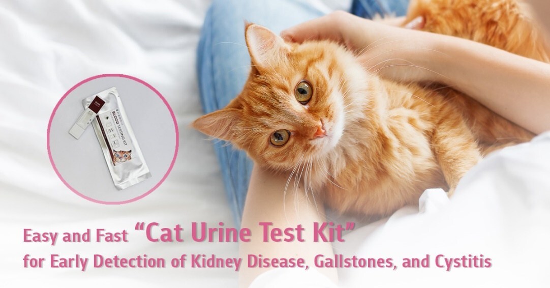 Easy and Fast "Cat Urine Test Kit" for Early Detection of Kidney ...