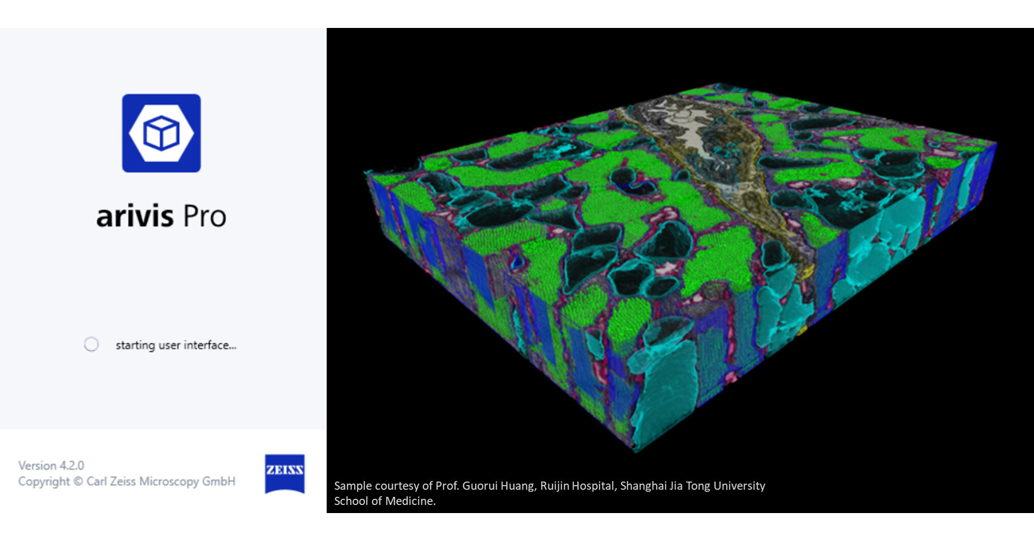 ZEISS arivis software enhances custom microscopy image analysis
