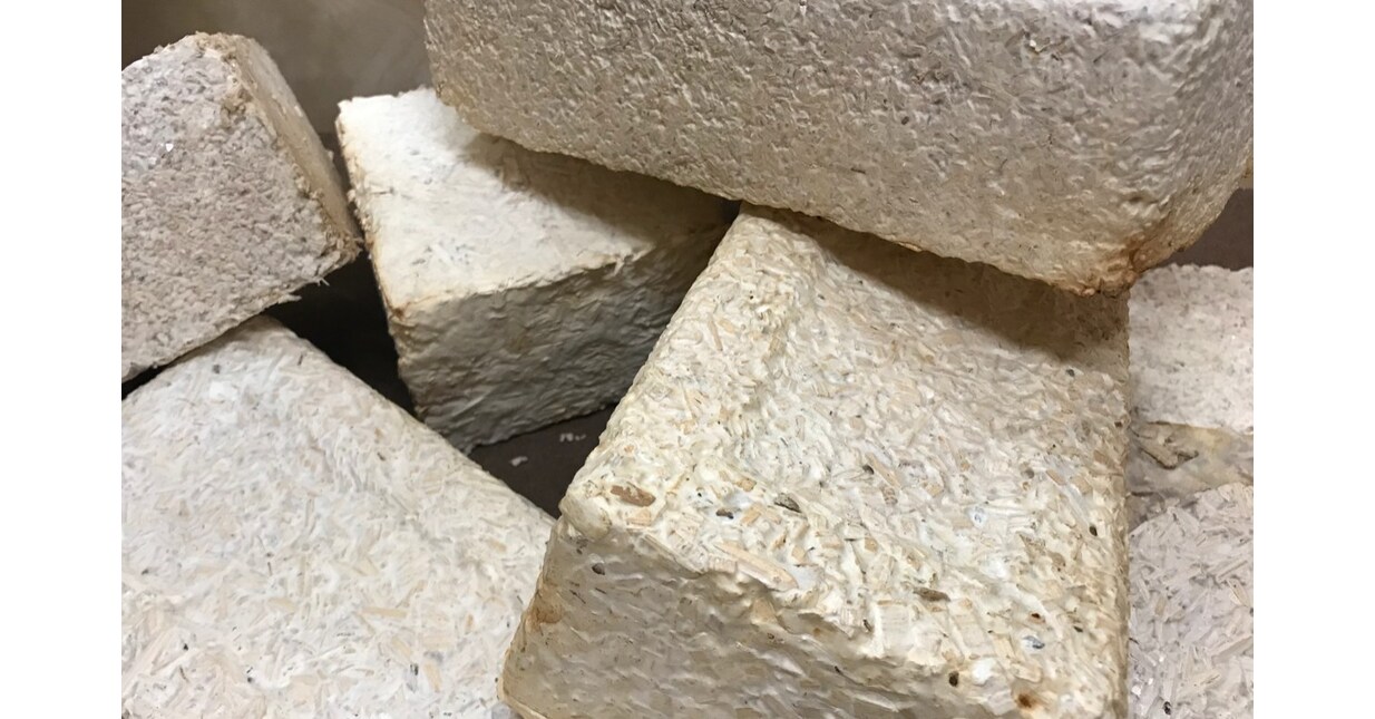 NASA Advances Research to Grow Habitats in Space from Fungi