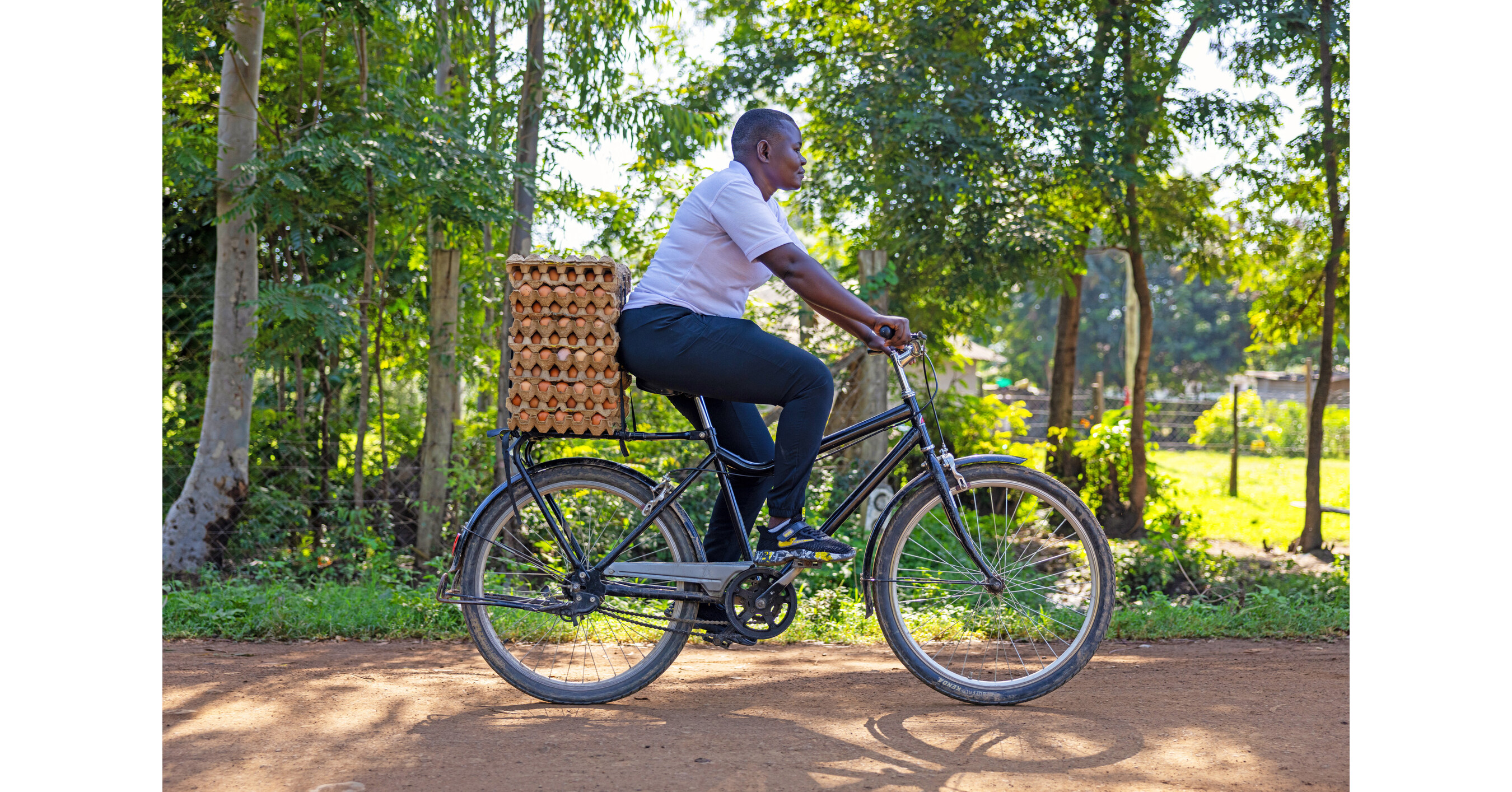 Innovation Meets Impact: World Bicycle Relief Unveils the Buffalo ...